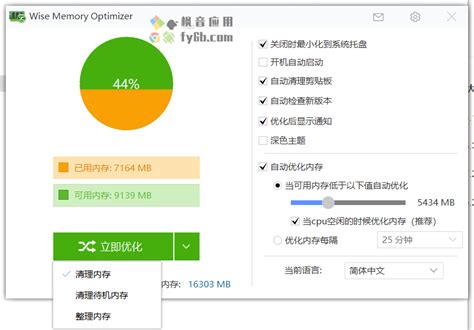 Windows Wise Memory Optimzer 内存优化 v4 2 0 便携版 枫音应用