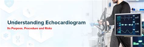 Understanding Echocardiogram Purpose Procedure And Risks