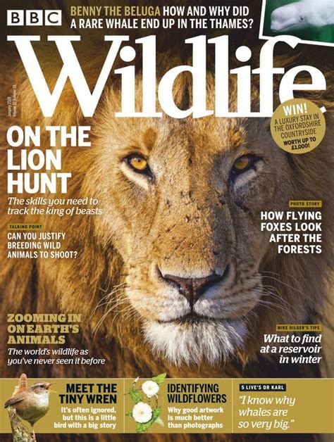Bbc Wildlife Back Issue January 2019 Digital Wildlife Magazine