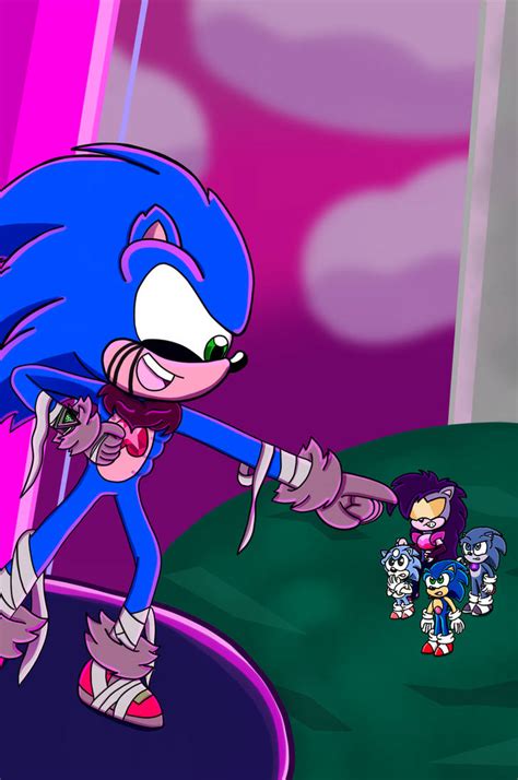 Other Friends But Everybody Is Sonic Characters By Starryheavendragon
