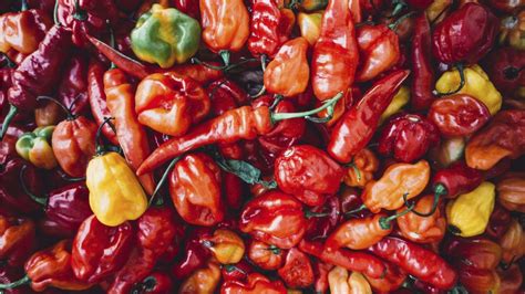 Conoce Los 5 Chiles Más Picantes Del Mundo Según El Ranking De Taste