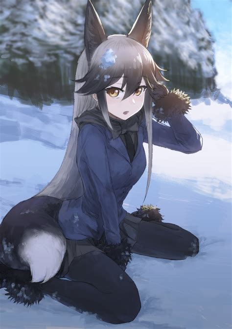 Kitsune Silver Fox Kemono Friends Kitsune Anime Kitsunemimi