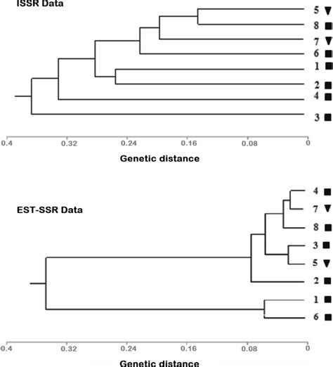 Unweighted Pair Group Method With Arithmetic Mean Upgma Dendrograms