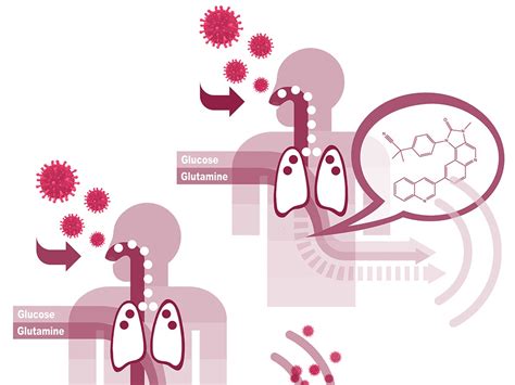 Attract Readers At A Glance With Your Graphical Abstract