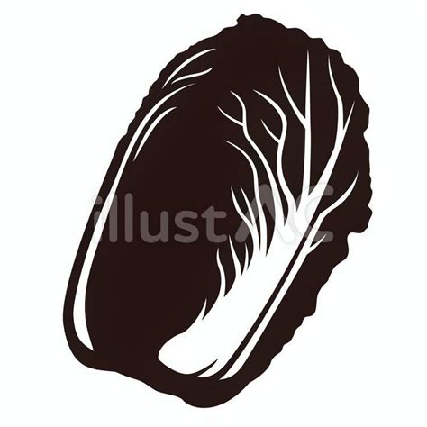 白菜イラスト No 143530｜無料イラスト・フリー素材なら「イラストac」