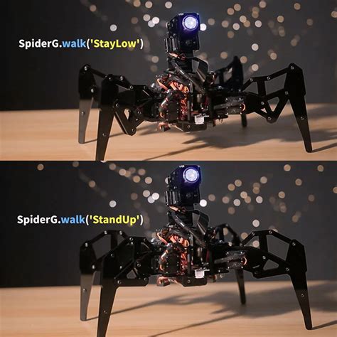 Stem Quadruped Spider Raspberry Pi Robot Python Programming Mobile App