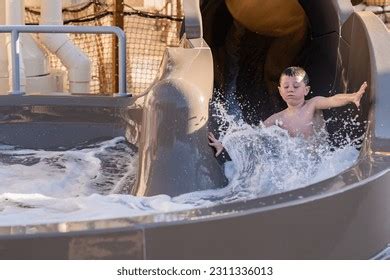 Best Excited Scared Royalty Free Images Stock Photos Pictures Shutterstock