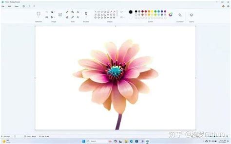 Win11 23h2正式推送！新功能也太骚了吧 知乎