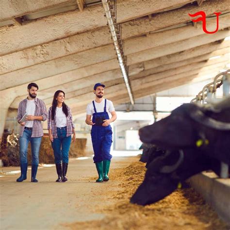 Curso De Prevención Y Riesgos En Explotaciones Ganaderas • Formación