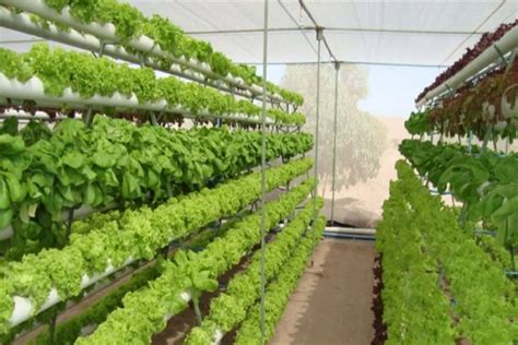 Ingeniería Agrícola Y De Biosistemas