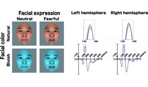 Blue Faces Perceived As More Fearful Asian Scientist Magazine