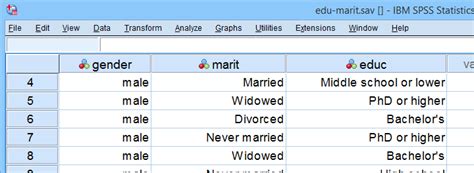Spss Chi Square Test With Pairwise Z Tests Tutorial