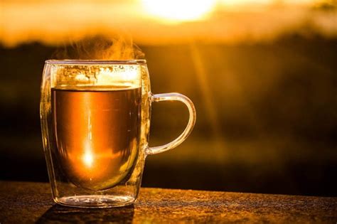Theine Vs Caffeine The Differences Explained Coffee Affection
