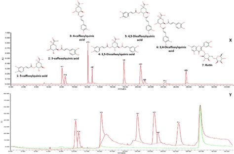 The Hplc Dad λ 300 Nm Chromatogram X And Orac λ Exc 488 Nm λ