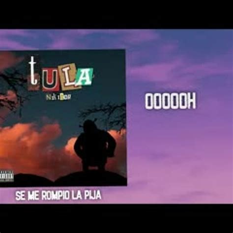 Stream Nikitou Se Me Rompio La Pija Lyric Video By Letickets