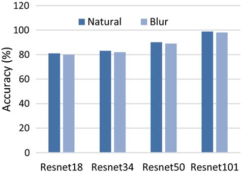 Classification Accuracy Of The Natural Blur And Motion Blur Test Images