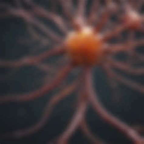 Exploring Neuron Origin Foundations Of Neural Development