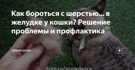 Как бороться с шерстью в желудке у кошки Решение проблемы и