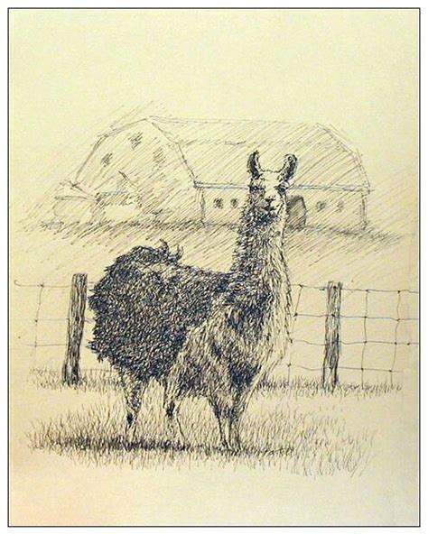 L Is For Llama Sketches Art Inspiration Duck Pens