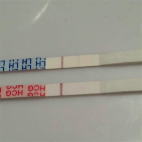 Bottom Is Pregnancy Test I Swear I See A Faint Line But Ive Had