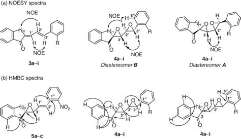 A Main Nuclear Overhauser Effect Noe Correlation Spectroscopy Cross
