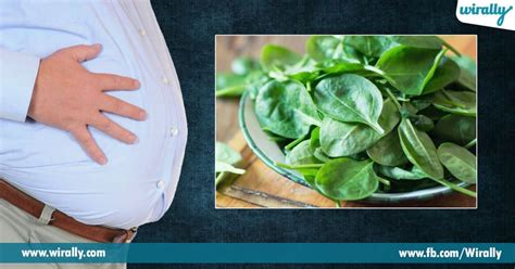 Foods That Help Reduce Belly Fat Wirally