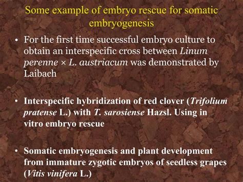 Somatic Emryogenesis And Synthetic Seed Production Ppt