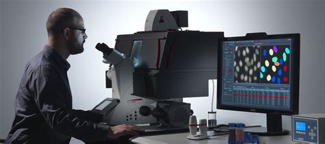 Microscope Imaging Software Products Leica Microsystems
