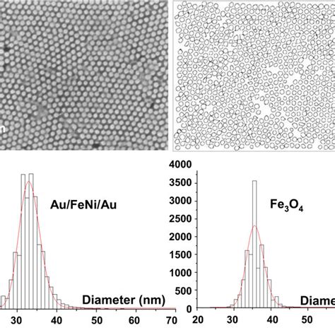 example of a sem image a before and b after the imagej processing