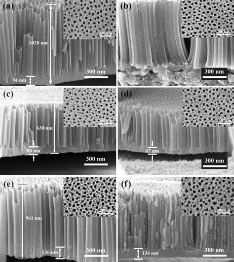 SEM Images Of Various TiO Nanotube Films Before Left And After Download Scientific Diagram