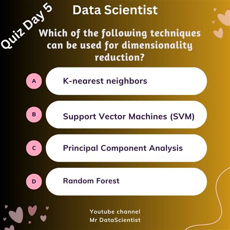 Datascientist Hamza Sajjad