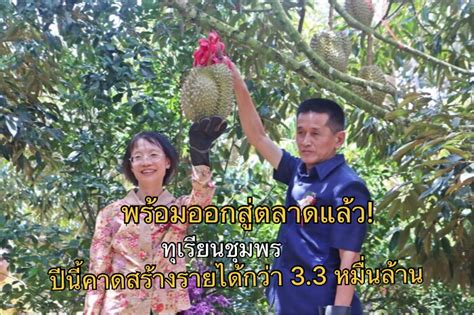 Photo Gallery พร้อมออกสู่ตลาด ชุมพรเปิดฤดูเก็บเกี่ยวทุเรียนแล้ว คาดปี