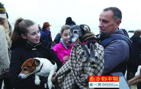 18歲狗狗安樂死 數百人陪它臨終散步 每日頭條