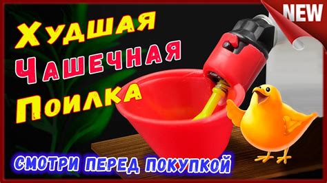 Чашечная поилка для кур. Отзыв о чашечной поилки для птицы. - YouTube