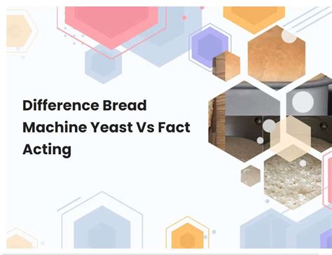Difference Bread Machine Yeast Vs Fact Acting