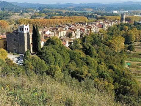 Muere un hombre de un disparo en Arbúcies paseaba por el bosque donde