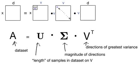 singular value decomposition svd mathematical overview baysection