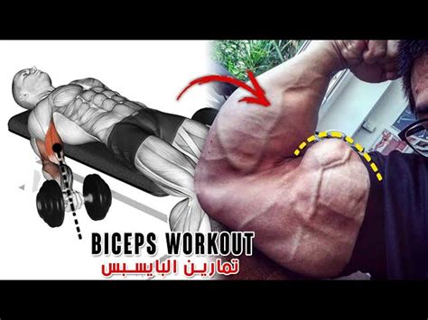 7 Bicep Exercises For Bigger Arms Effective Exercises تمارين البايسبس