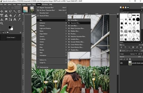 3 Ways To Use Gaussian Blur To Remove Watermark