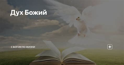 Дух Божий С Богом по жизни Дзен