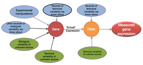 Rna Seq 详细教程：count 数据探索（4）测序结果的count怎么看 Csdn博客