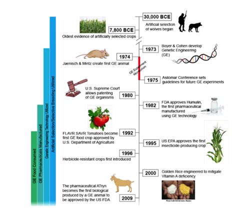 Selective Breeding Chart