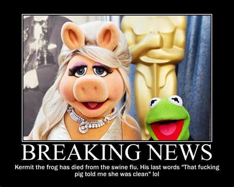 Pin By Chio Coronado On Photography Kermit Funny Kermit The Frog Lol