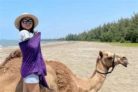 Masuk Liburan Akhir Pekan Ini Daya Tarik Jam Buka Hingga Harga Tiket