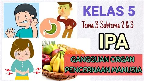 GANGGUAN ORGAN PENCERNAAN MANUSIA IPA KELAS 5 TEMA 3 SUBTEMA 2