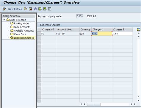 Automatic Payment Program Run F110 Sap Tutorial