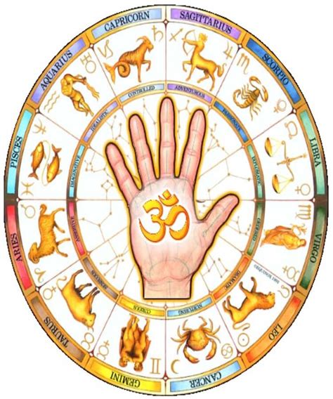 Palmist Solution In Tri Nagar New Delhi India