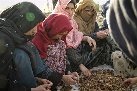 Un Urges Taliban To Reverse Decrees Limiting Womens Rights Asian