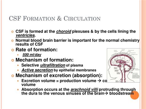 Ppt Cerebrospinal Fluid In Clinical Biochemistry Lab Powerpoint
