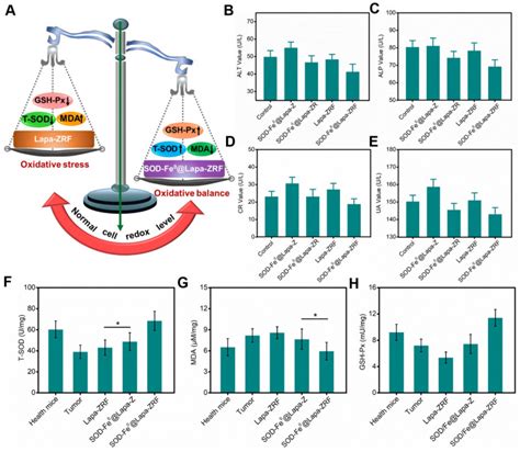 Advanced Biomimetic Nanoreactor For Specifically Killing Tumor Cells